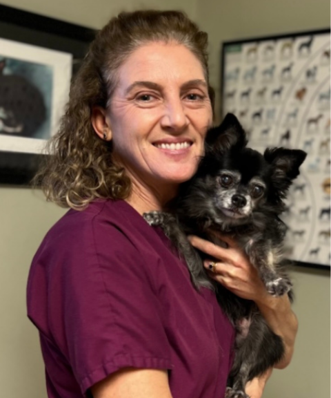 Veterinarian In West Hartford, CT 06107 | Petcare Veterinary Services